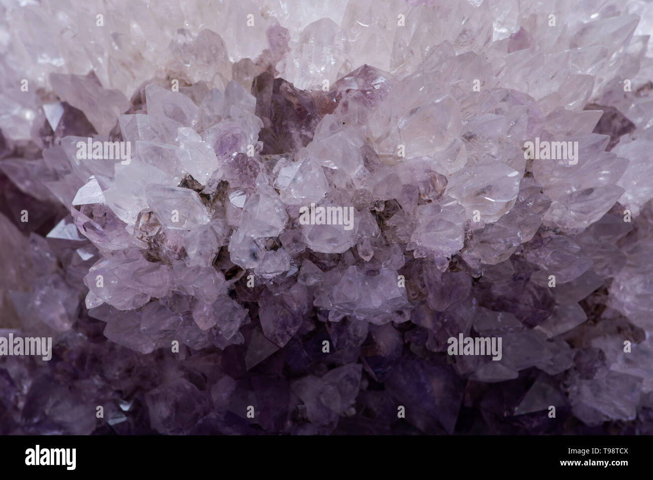 Needle Quartz With Amethyst Specimen on purple background Stock Photo ...