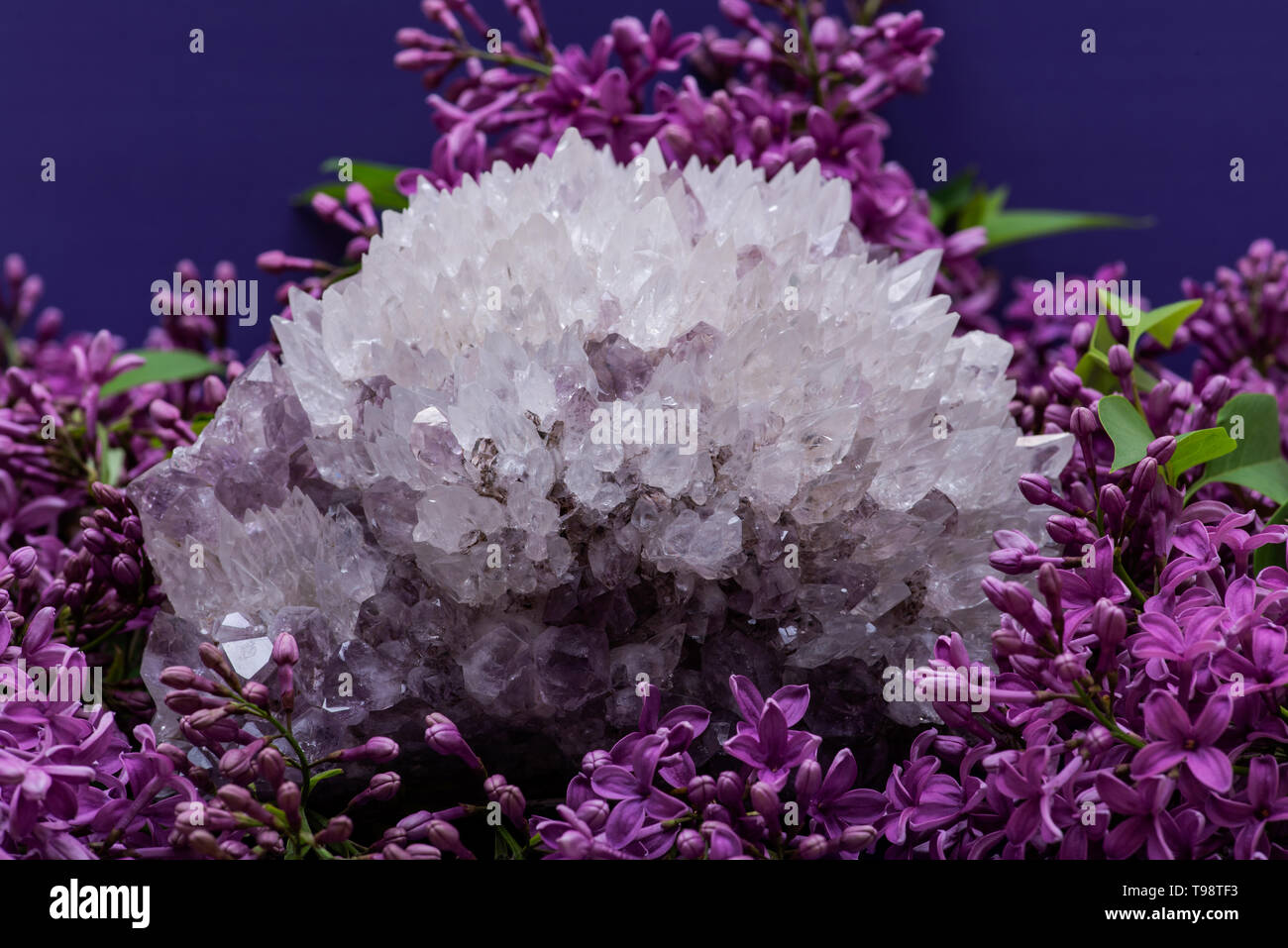 Needle Quartz With Amethyst Specimen surrounded by purple lilac flowers ...
