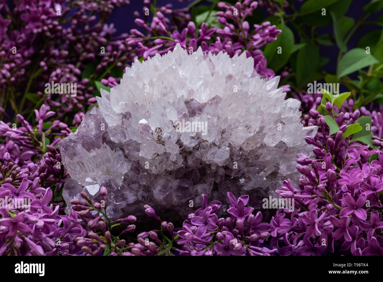 Needle Quartz With Amethyst Specimen surrounded by purple lilac flowers ...