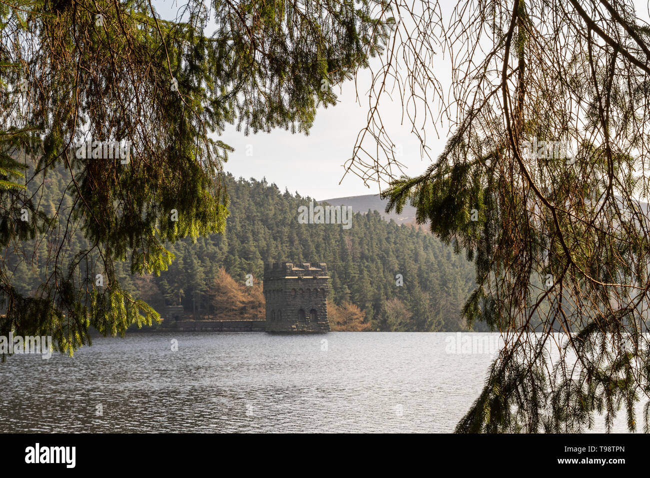 Lower derwent valley hi-res stock photography and images - Alamy