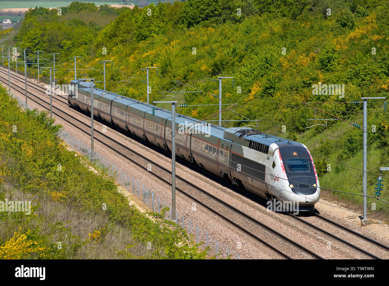 Lyria in hi-res stock photography and images - Alamy