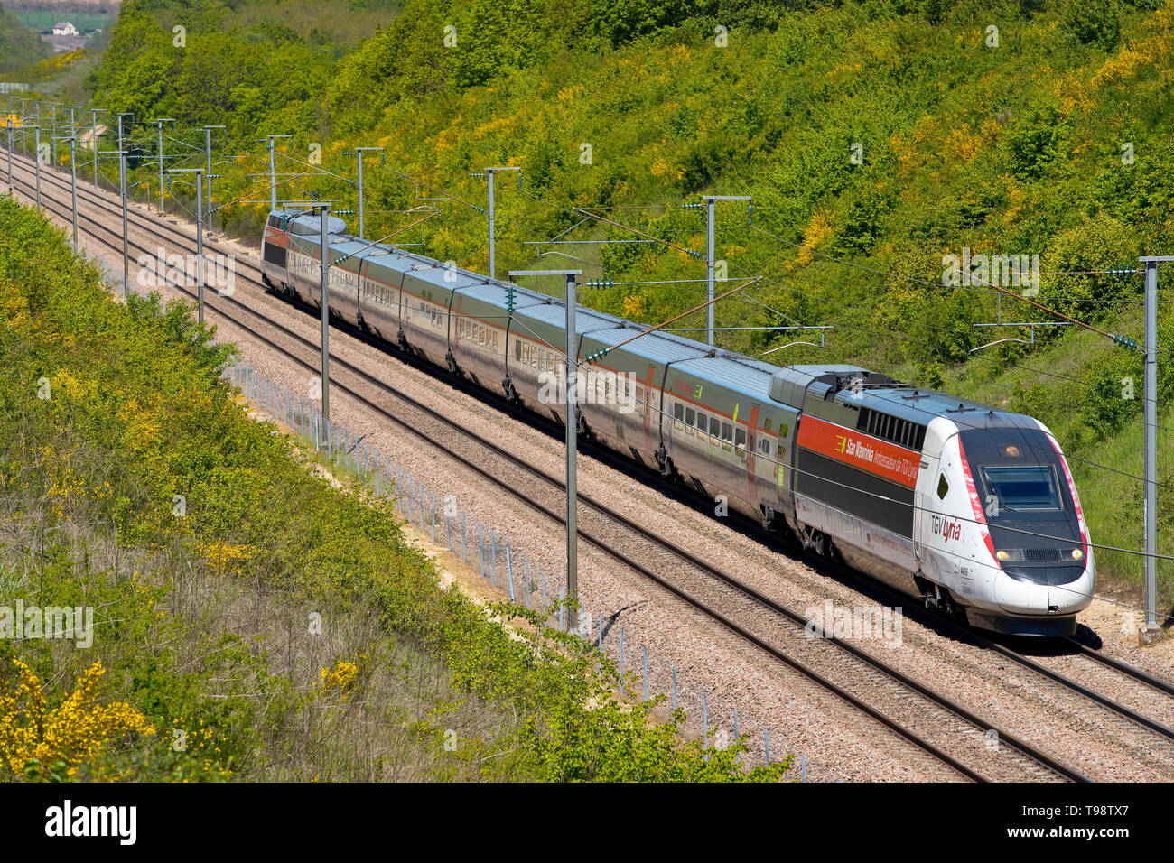 Tgv Lyria Logo TGV Lyria