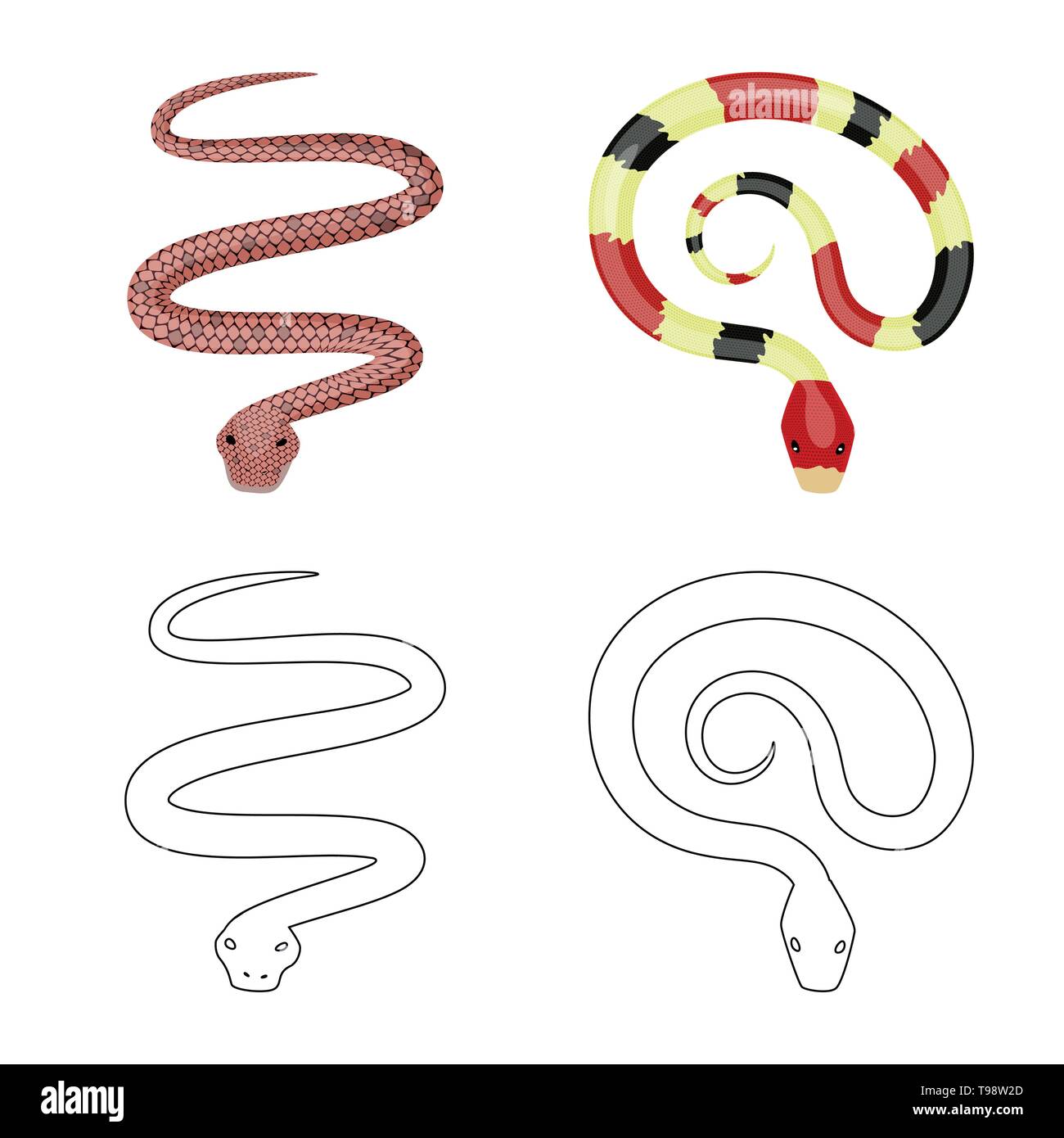 snake,tail,coral,spiral,red,forest,black,leather,white,creeping,animal ...