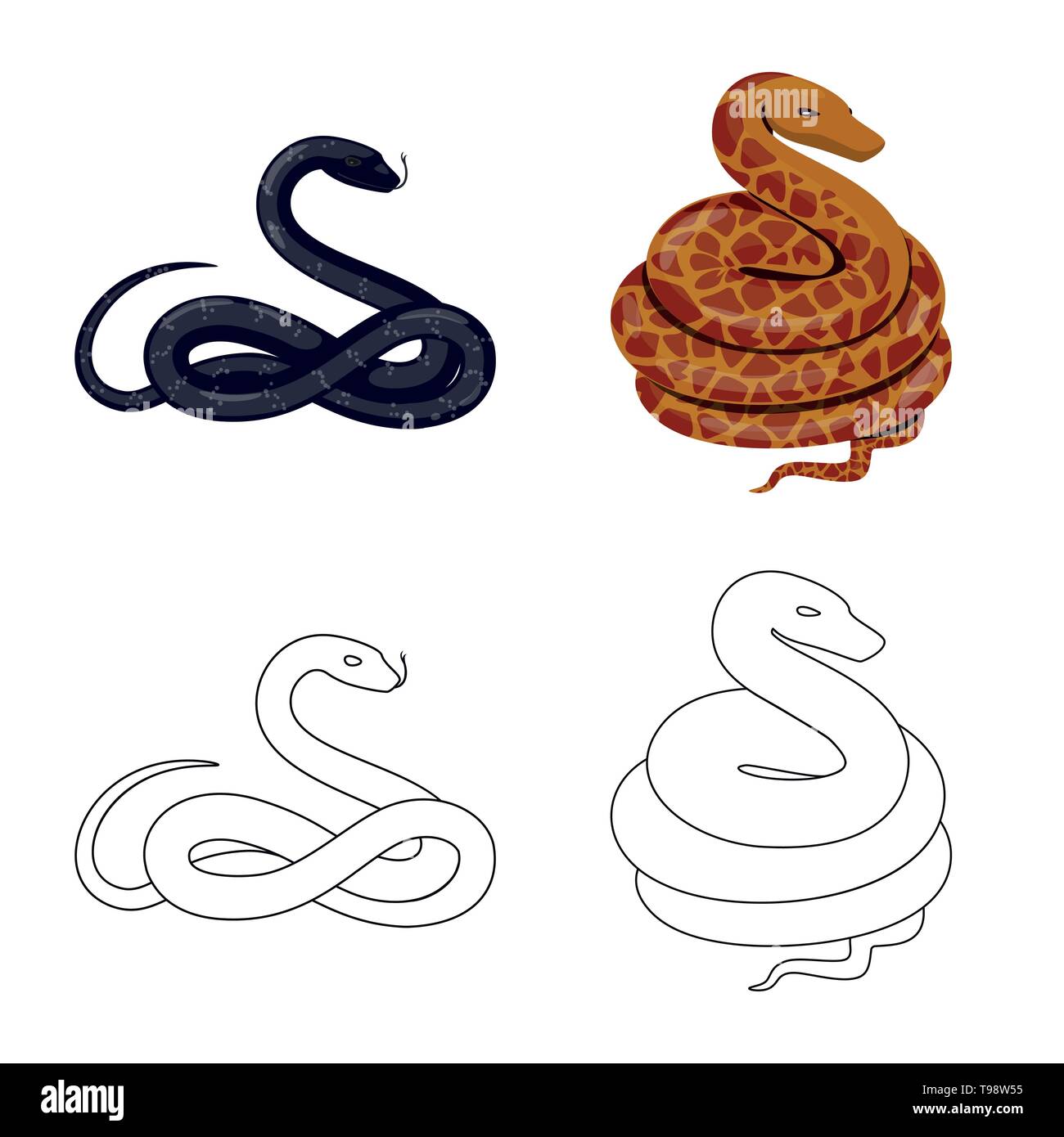 anaconda,snake,python,tail,animal,spiral,pharmacy,green,black,jungle ...
