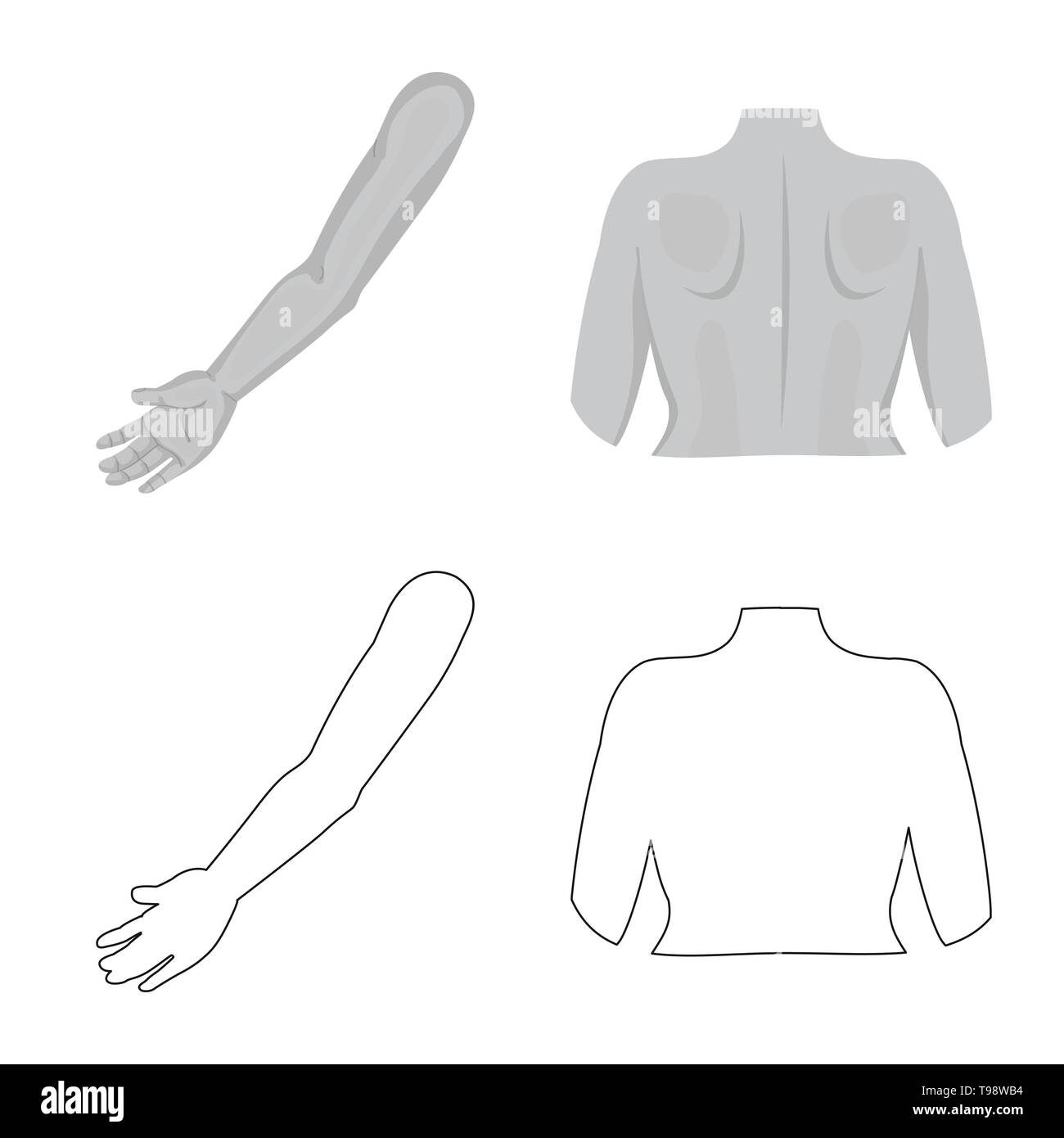 Isolated object of body and part sign. Set of body and anatomy stock ...