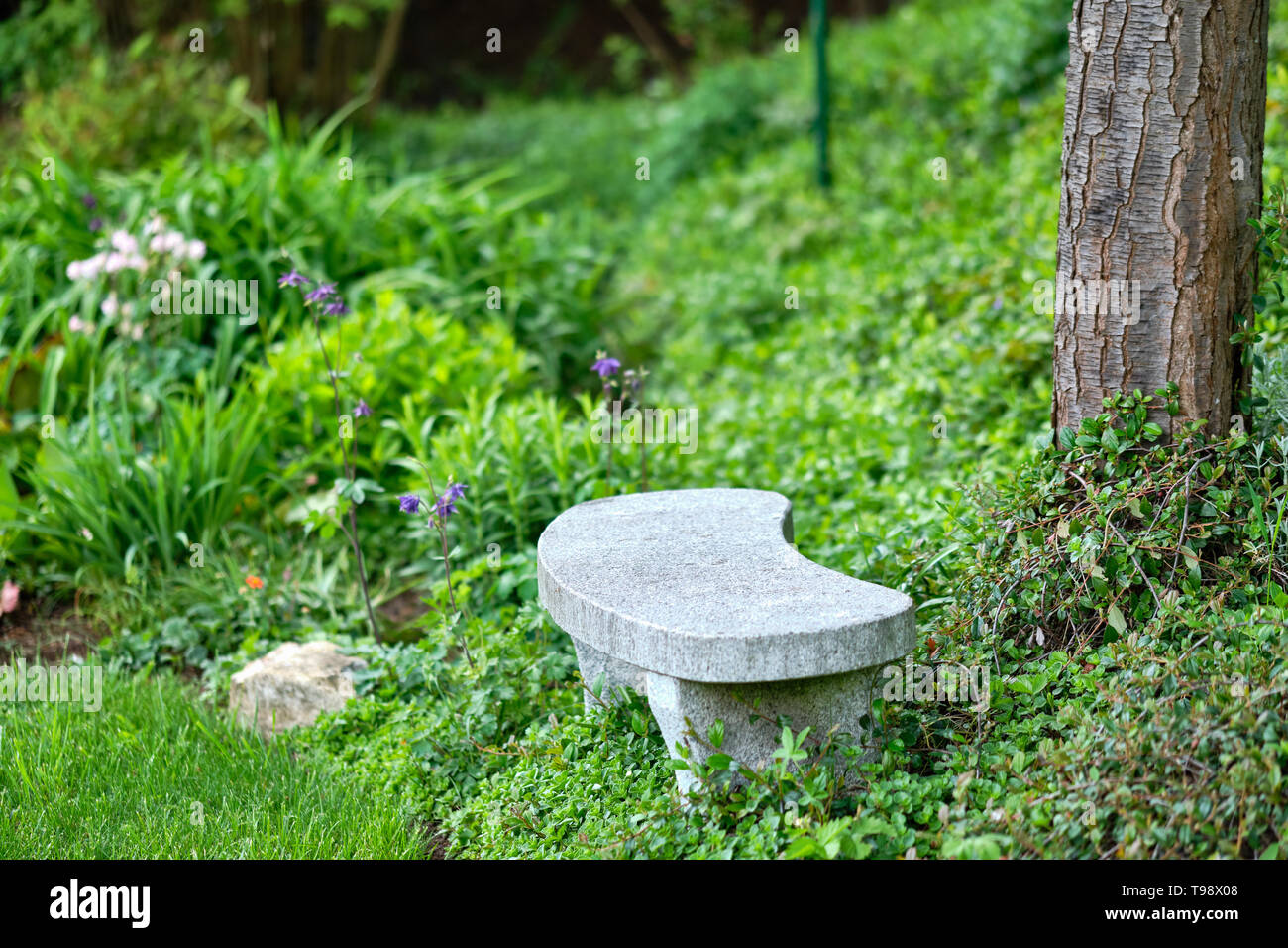 Growing under tree hi-res stock photography and images - Alamy