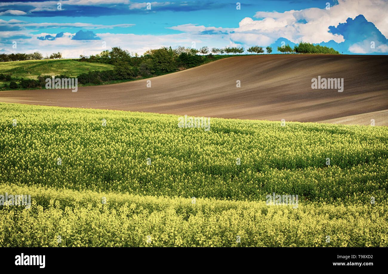 Rural spring landscape Stock Photo - Alamy