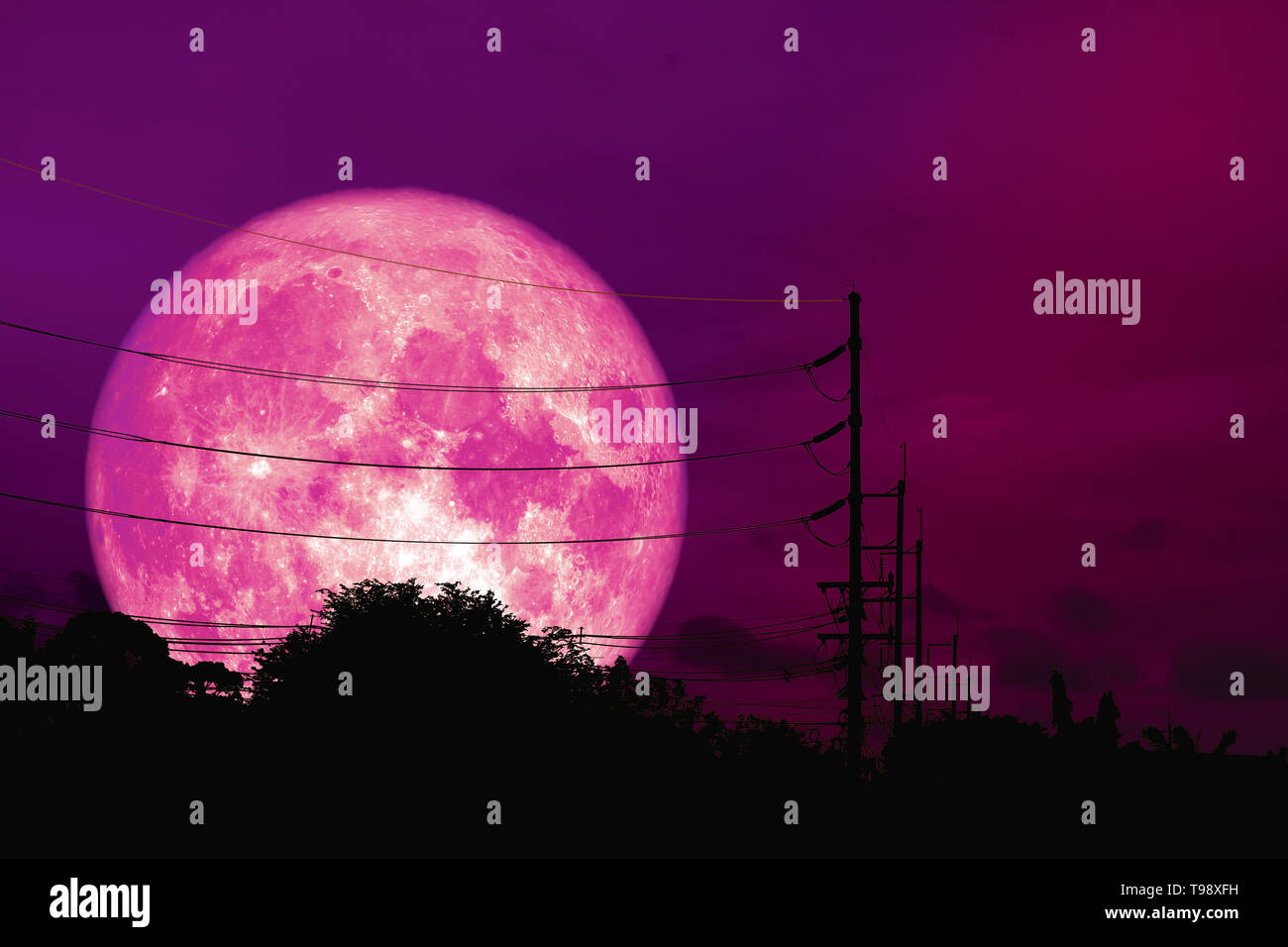 full pink moon floats in night sky above the shadow of an electric pole ...