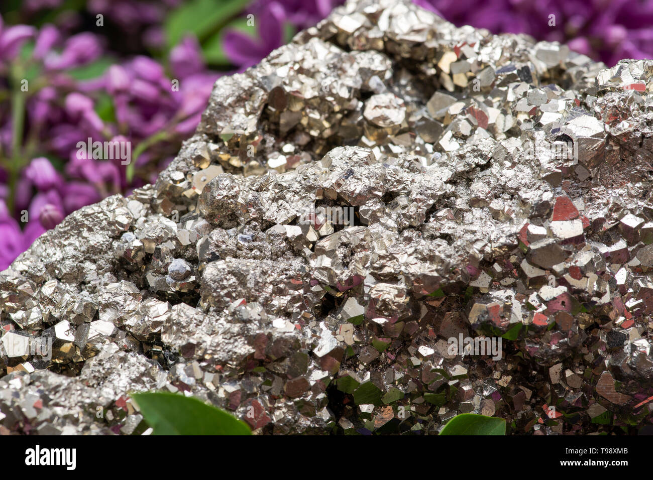 Natural Pyrite Cluster Specimen from Peru surrounded by purple lilac ...