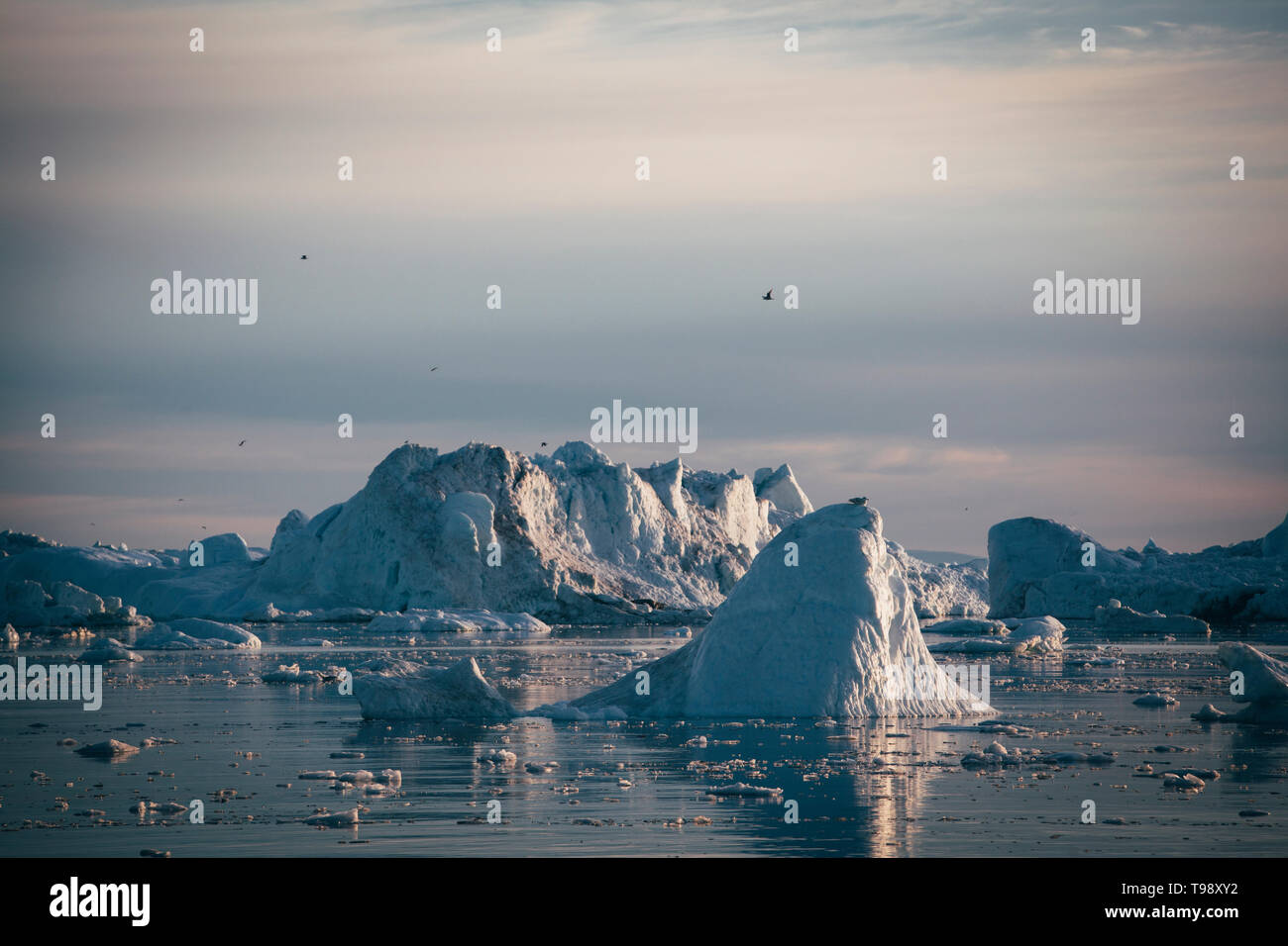 Icebergs in Disko Bay on Midsummer, Greenland Stock Photo - Alamy