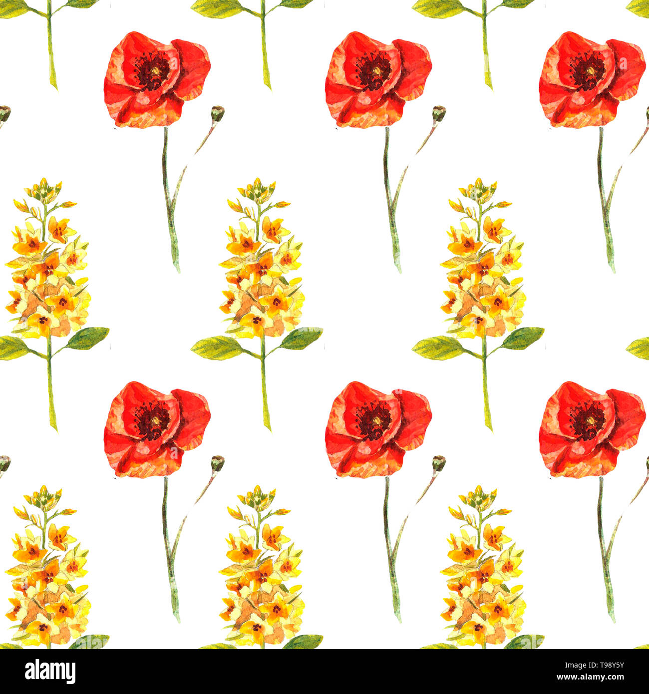 Watercolour poppies hi-res stock photography and images - Alamy