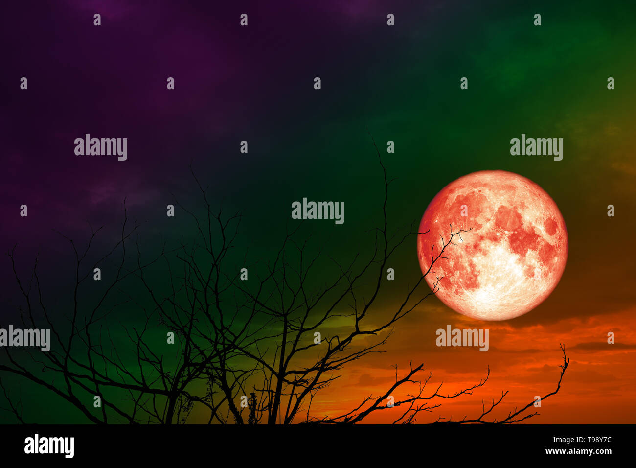 Full moon in dark red sky halloween hi-res stock photography and images ...