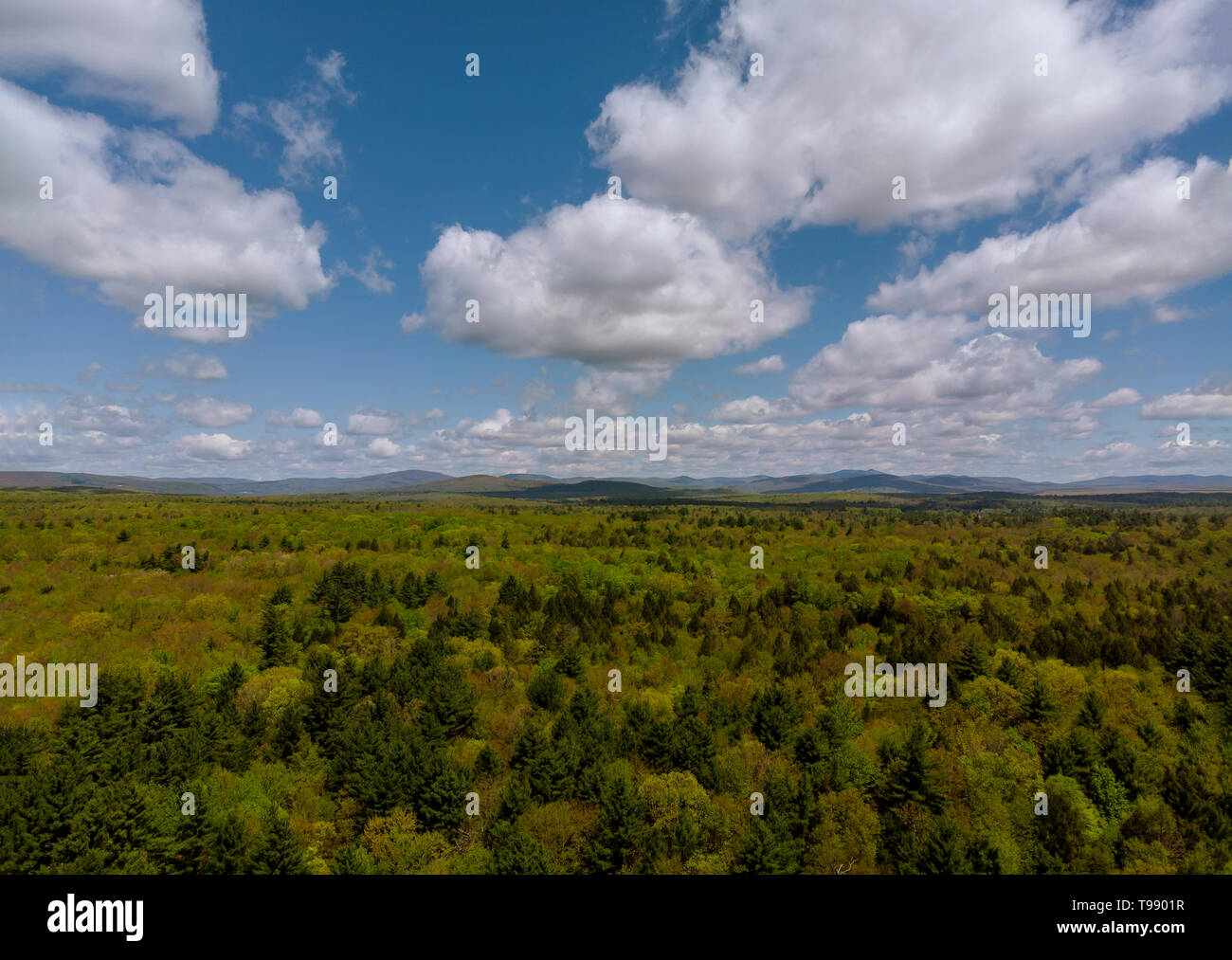 Pocono Mountains Pennsylvania USA range landscape Stock Photo - Alamy