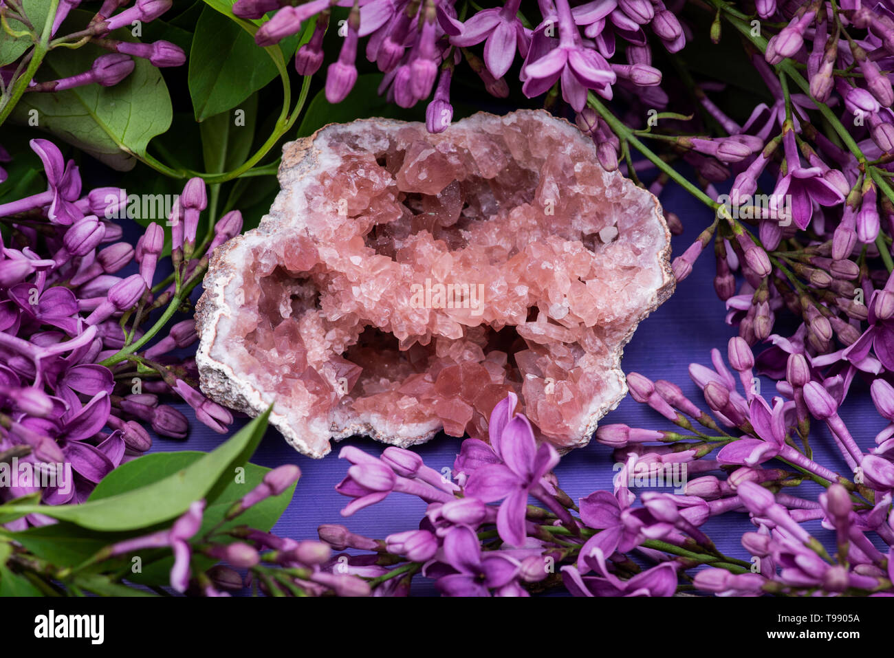 Rare Pink Amethyst Geode Cluster from Patagonia, Argentina. Surrounded ...