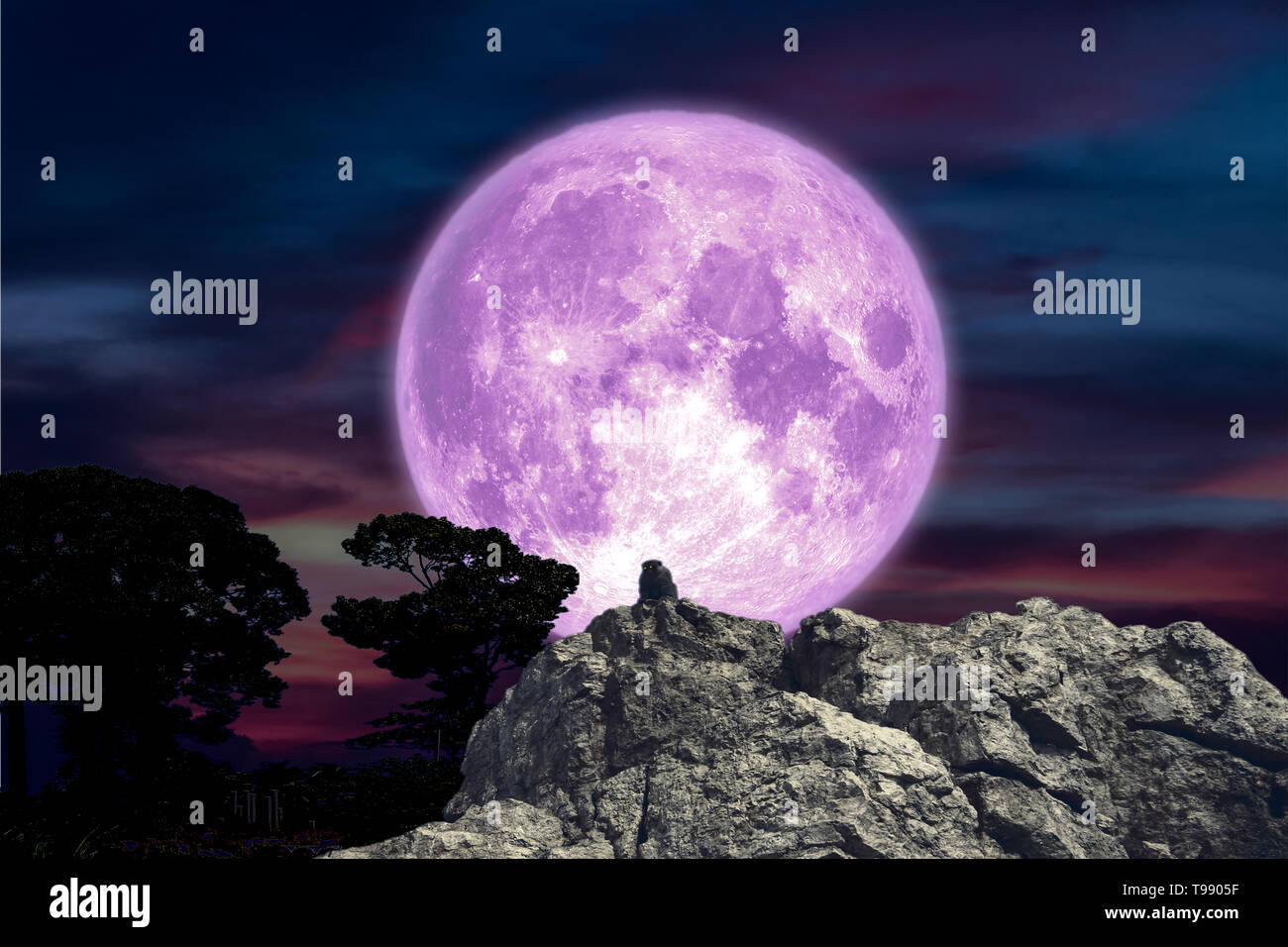 super moon back over monster on stone and rock of cliff, Elements of ...