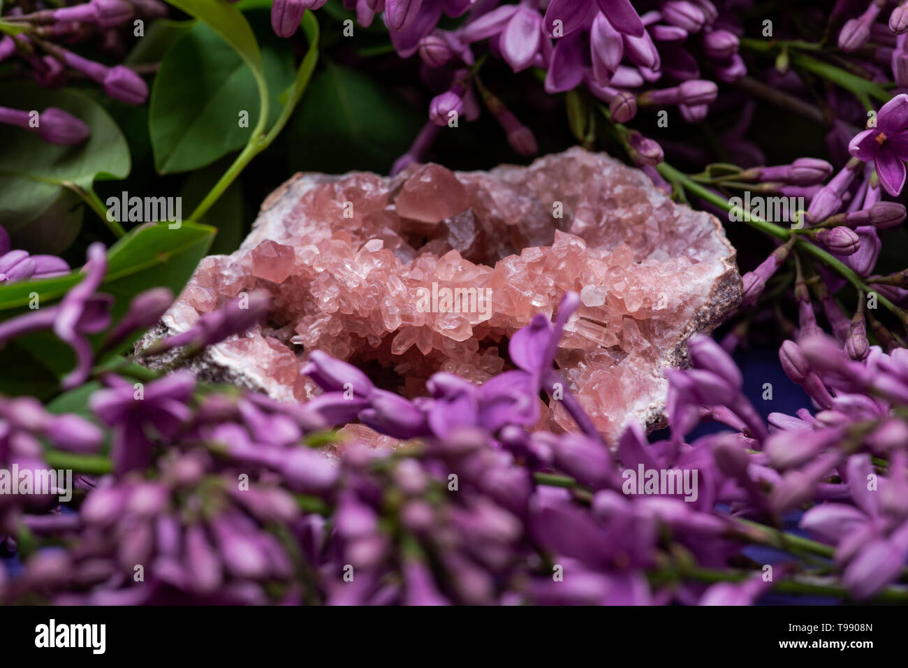 Rare Pink Amethyst Geode Cluster from Patagonia, Argentina. Surrounded ...