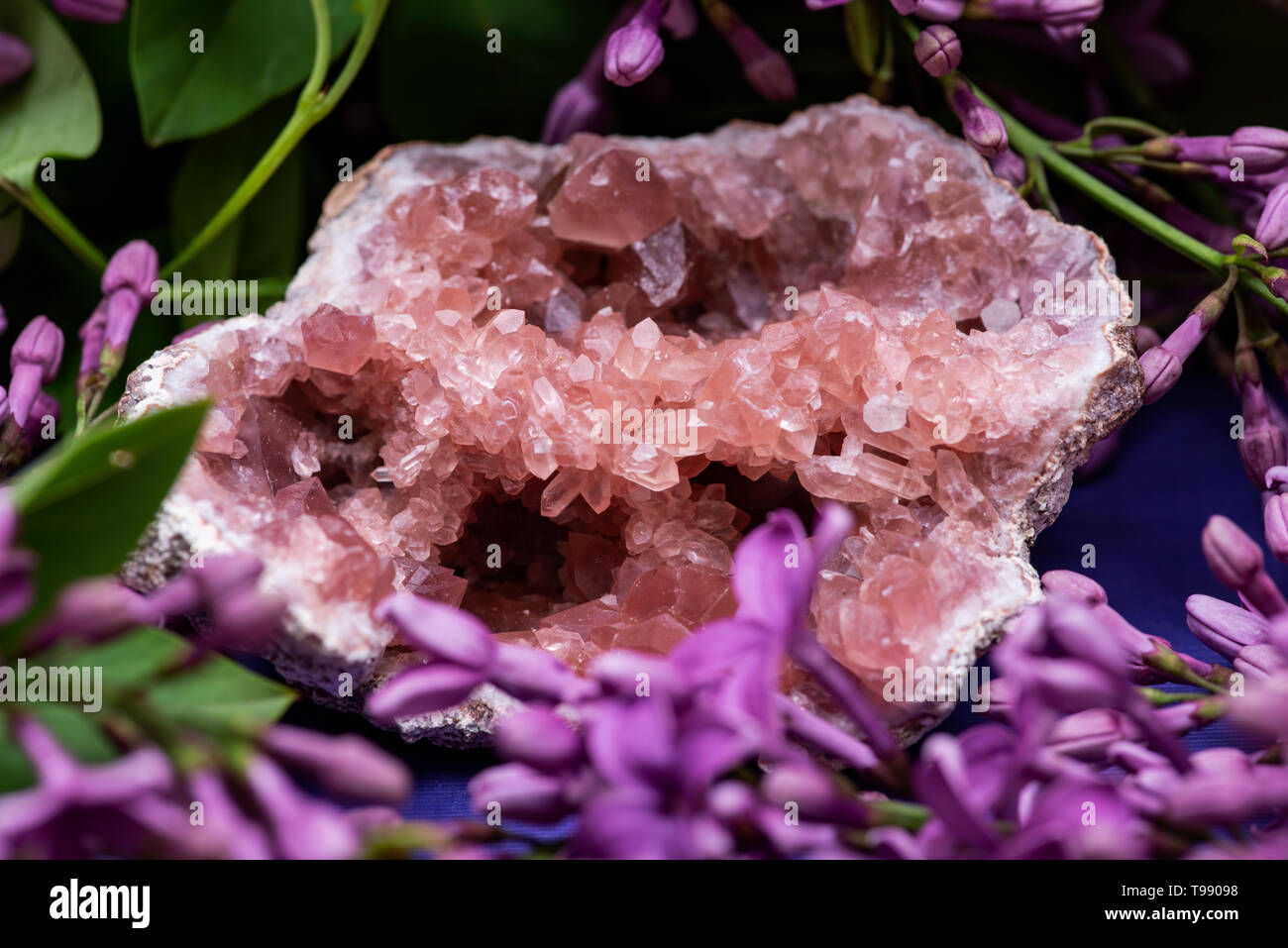Rare Pink Amethyst Geode Cluster from Patagonia, Argentina. Surrounded ...