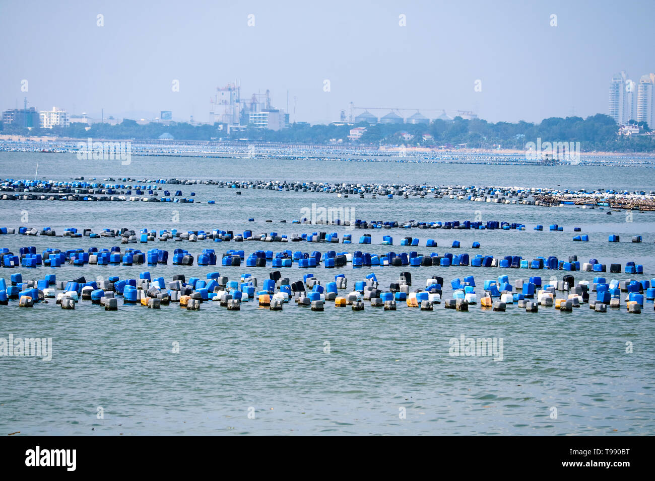 The mussels are made from plastic buckets and come with ropes under the ...