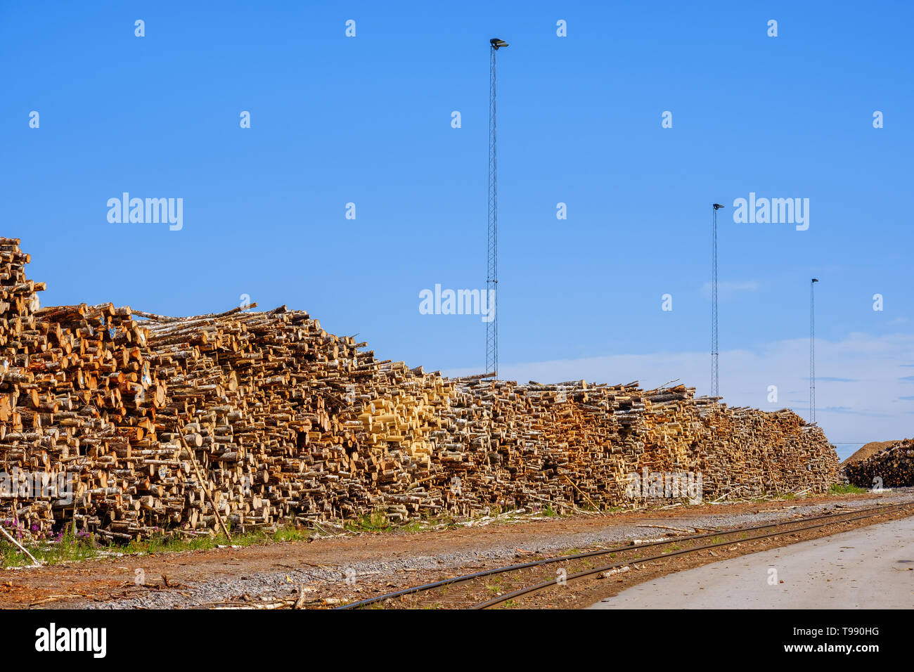 Log wood piles in industrial hi-res stock photography and images - Alamy