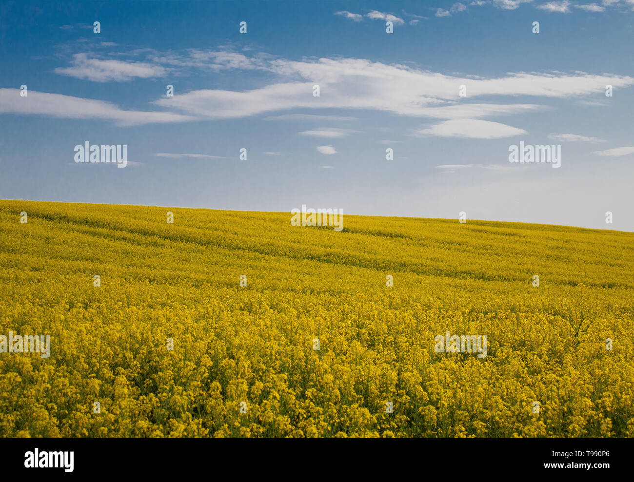 Photoaleks hi-res stock photography and images - Alamy