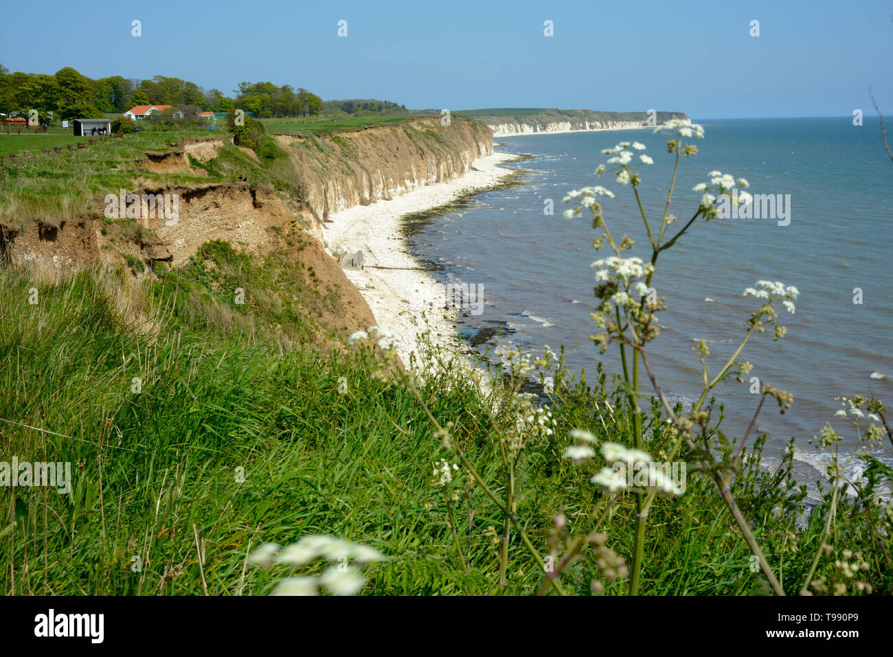 Sewerby Cliffs, Bridlington, East Riding of Yorkshire Stock Photo - Alamy
