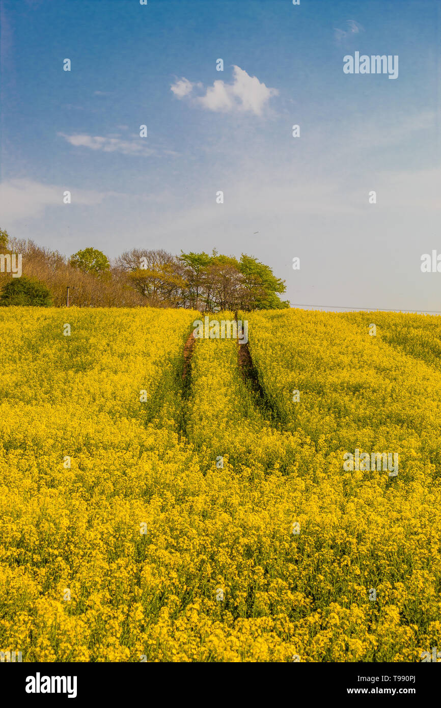 Photoaleks hi-res stock photography and images - Alamy