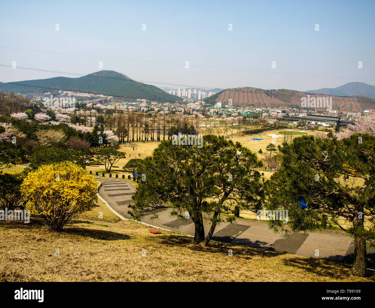 Most beautiful lawns hi-res stock photography and images - Alamy