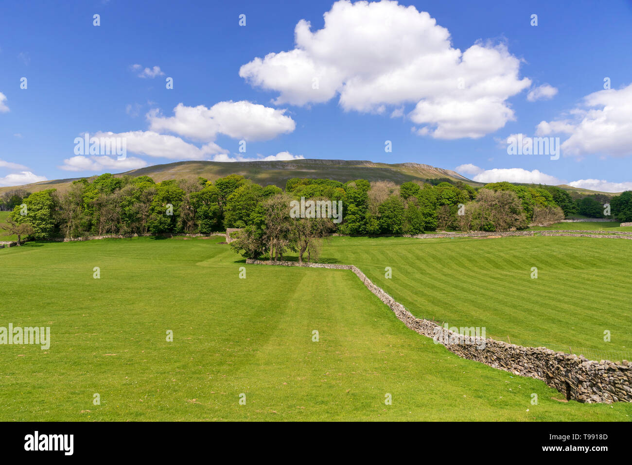 Fells and dales hi-res stock photography and images - Alamy