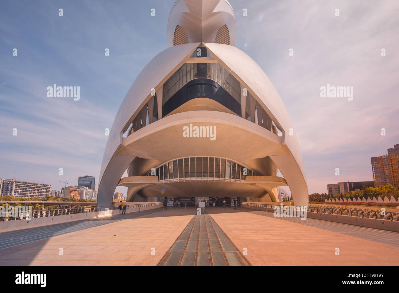 Palau de les Arts Reina Sofía. Opera house in Valencia Stock Photo - Alamy
