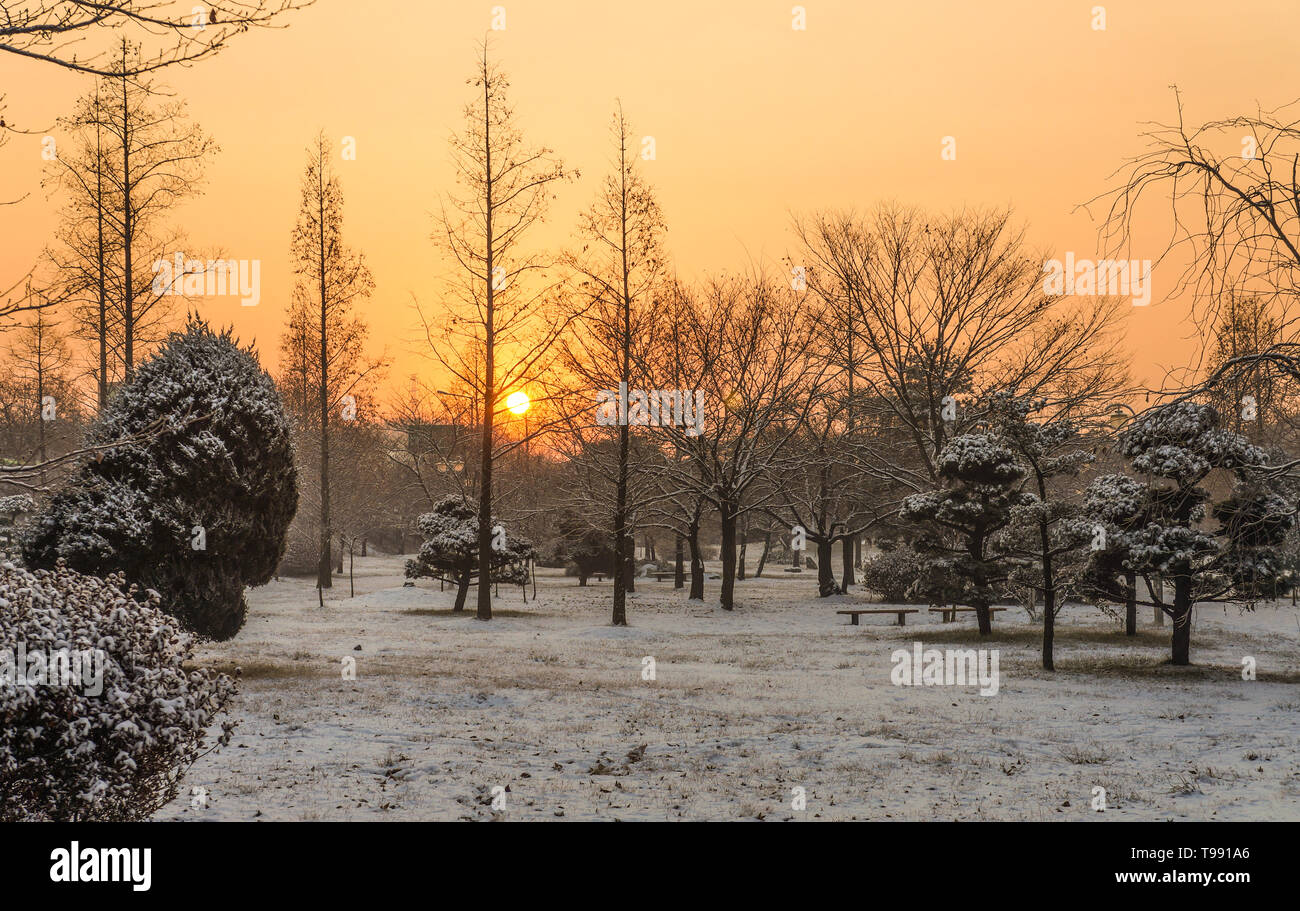 Winter Snowy Park Scenic Area Stock Photo - Alamy