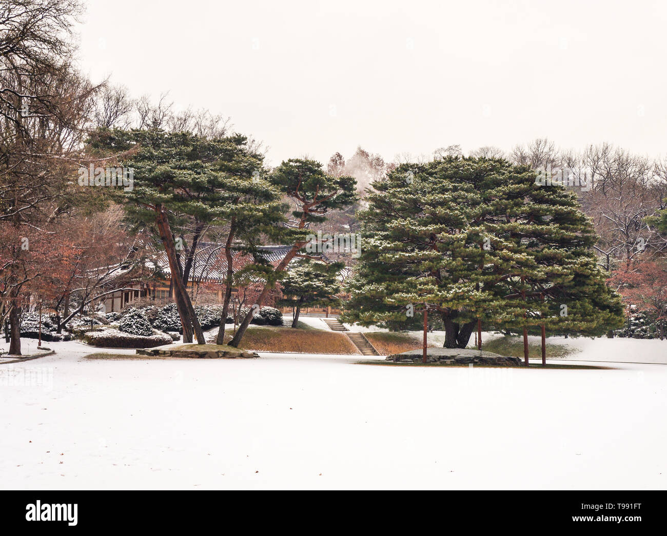 Winter Snowy Park Scenic Area Stock Photo - Alamy