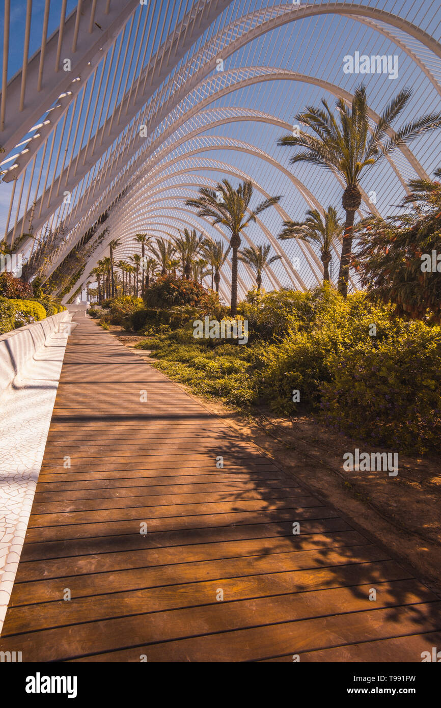 The Umbracle, the City of Arts and Sciences is an entertainment-based ...