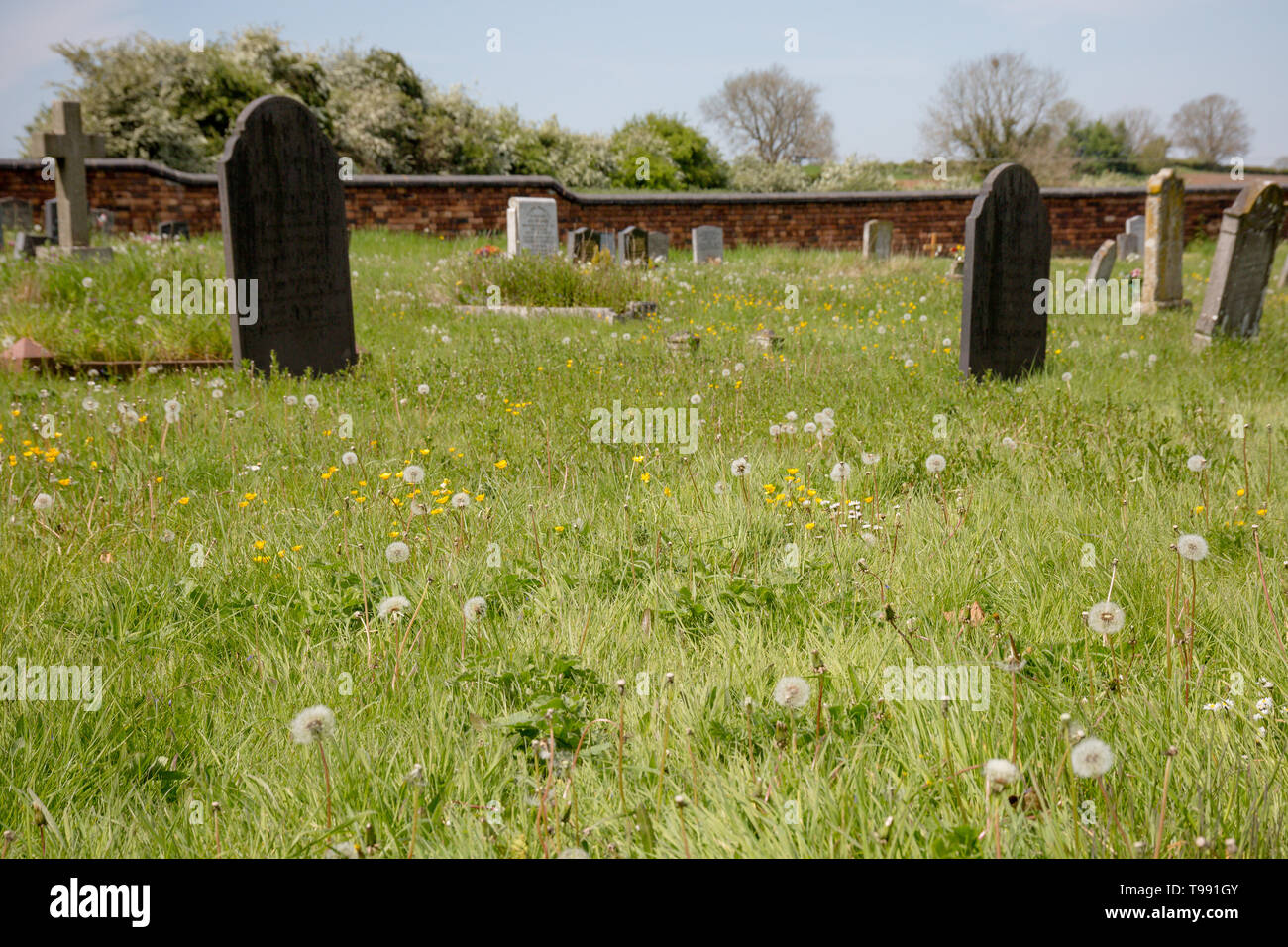 A country graveyard with ancient headstones Stock Photo - Alamy