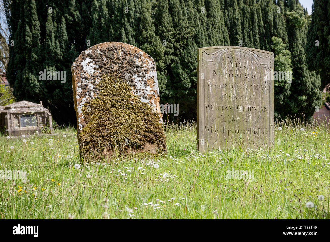 A country graveyard with ancient headstones Stock Photo - Alamy