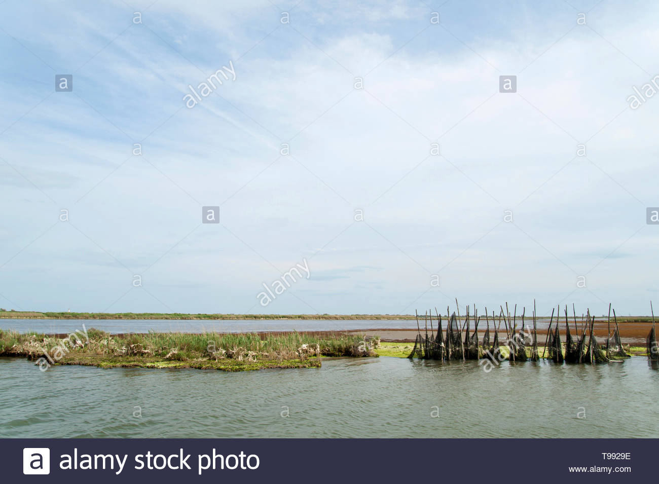 Parco Delta Del Po High Resolution Stock Photography and Images - Alamy