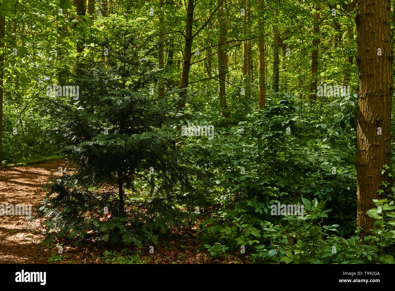 Vale Park Stand High Resolution Stock Photography and Images - Alamy