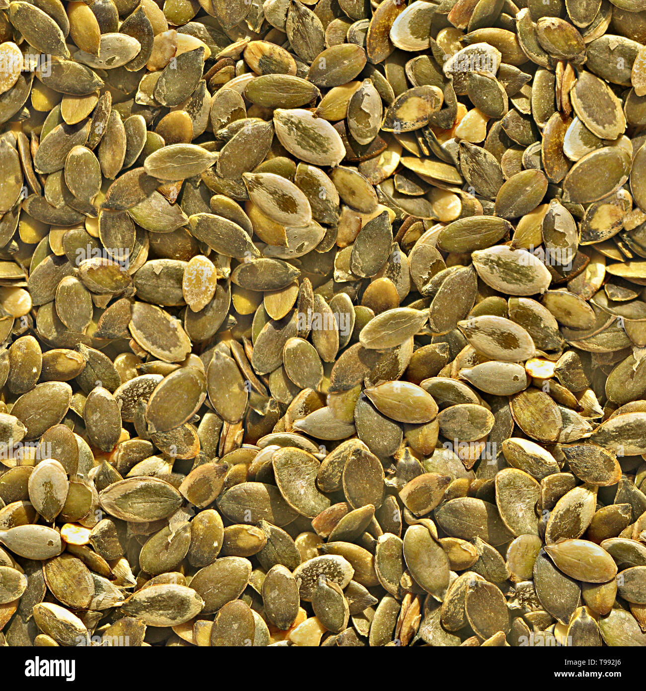 Pumpkin Seeds Seamless Texture Tile Stock Photo - Alamy