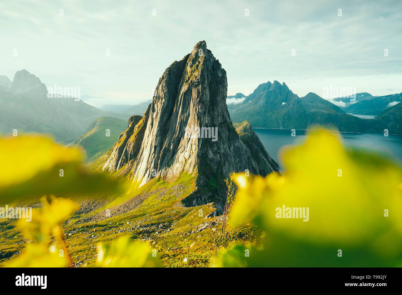 Segla Mountain, Oyfjord, Mefjord, Senja, Norway Stock Photo - Alamy