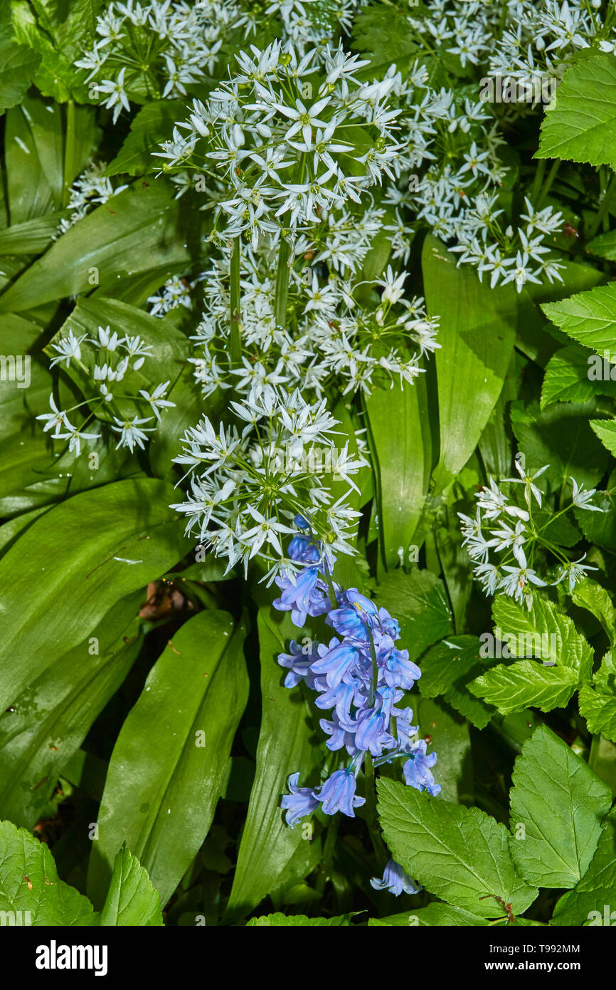 Underground outflow hi-res stock photography and images - Alamy