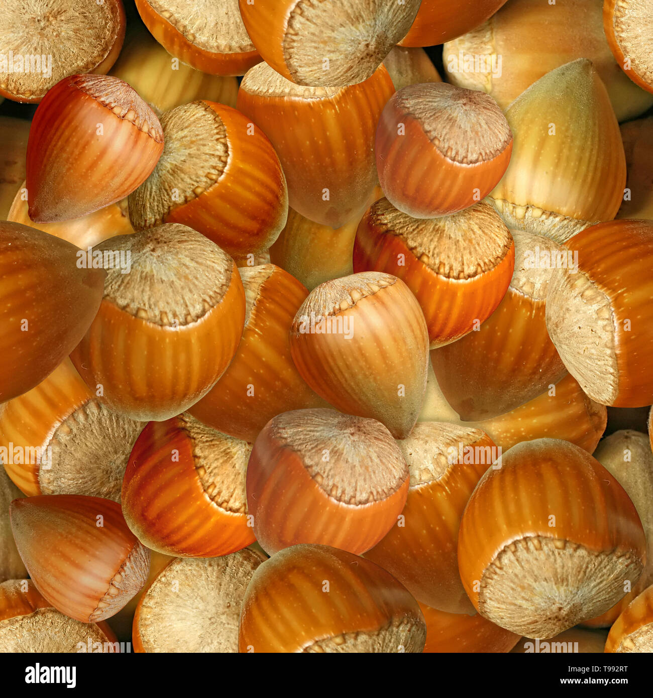 Hazelnuts Seamless Texture Tile Stock Photo - Alamy