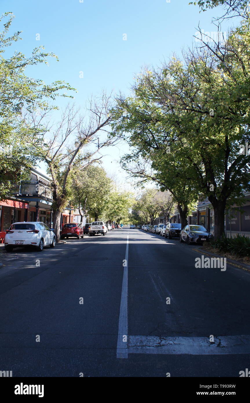 Adelaide street trees avenue hi-res stock photography and images - Alamy