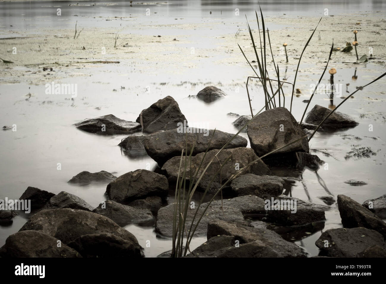River Stones River with glare of the sun river rocks. Slow shutter ...
