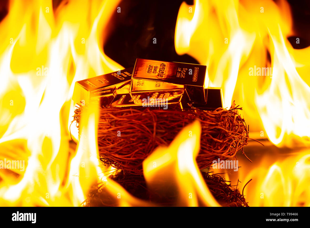 gold bars on nest surrounded by big fire concept of investment risk ...