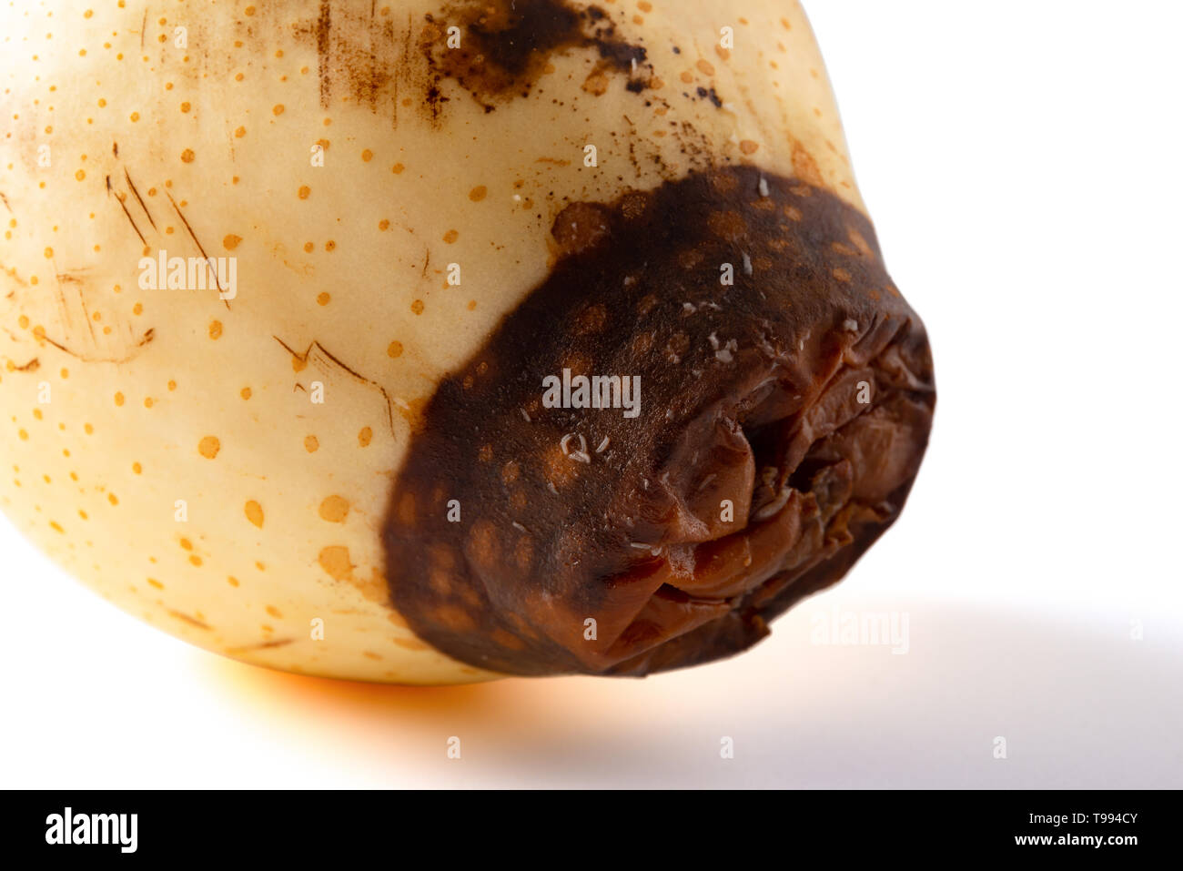 Smelly worm hi-res stock photography and images - Alamy