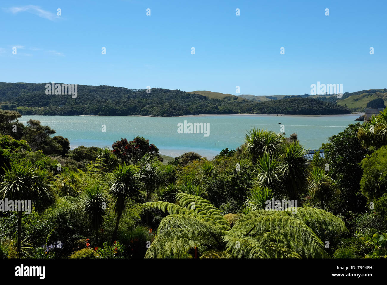 Raglan hi-res stock photography and images - Alamy