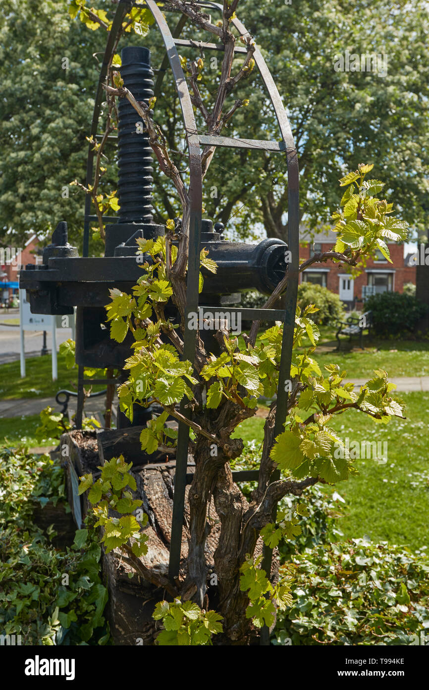 Roman storage england hi-res stock photography and images - Alamy