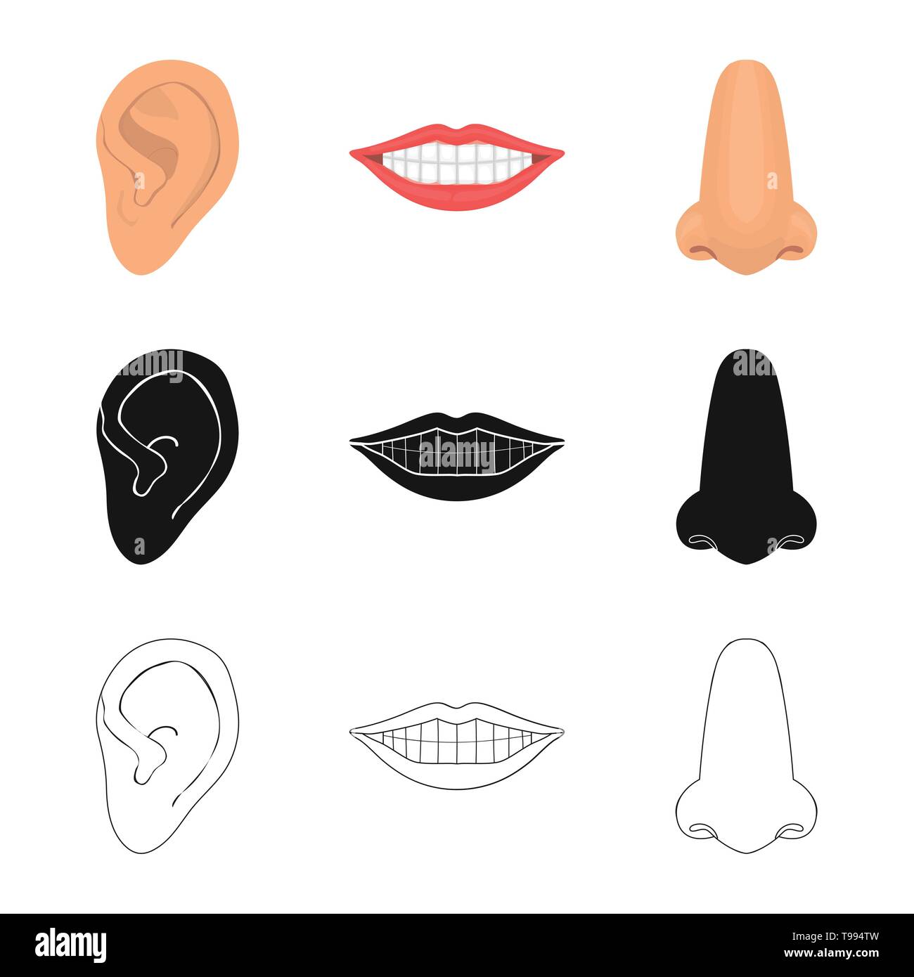 Vector illustration of body and part logo. Set of body and anatomy ...