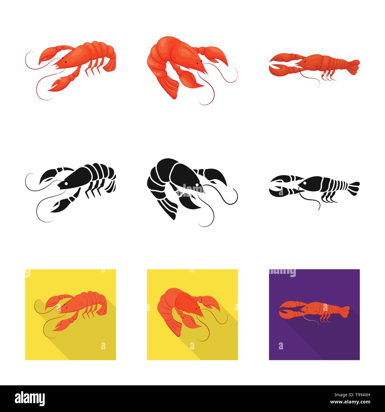 lobster,crayfish,red,boiled,fresh,aquatic,underwater,beach,cooked ...