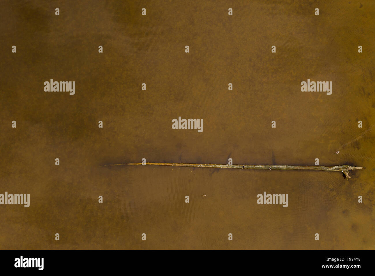 Floating pine log hi-res stock photography and images - Alamy