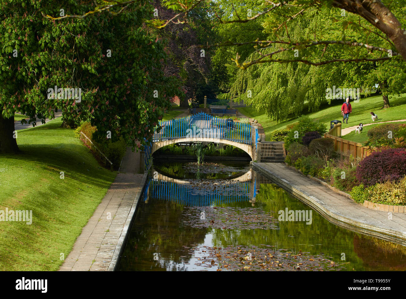 Blue bridge over Abbey Park lake in Evesham, England, United Kingdom ...
